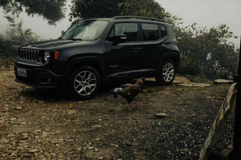 All Cars That Start with J - Motorist Care